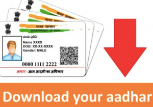 UIDAI Aadhar Download, uidai.gov.in UP - DIGITAL HELP