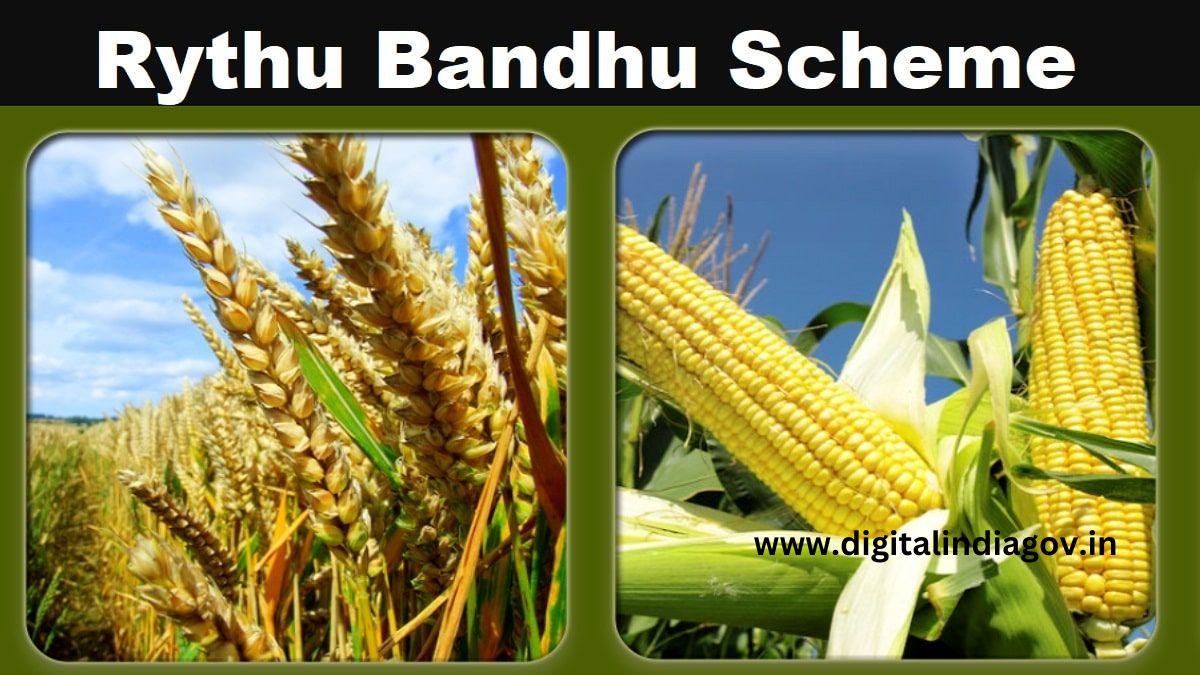 Rythu Bandhu Scheme: Eligibility, Status Check, Amount, Benefits
