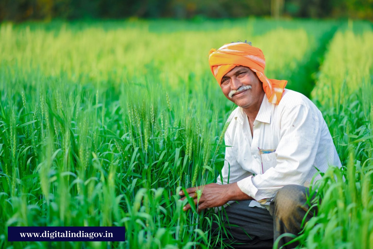 Ikhedut Portal 2024 Yojana List: Objective, Benefits, Apply Online