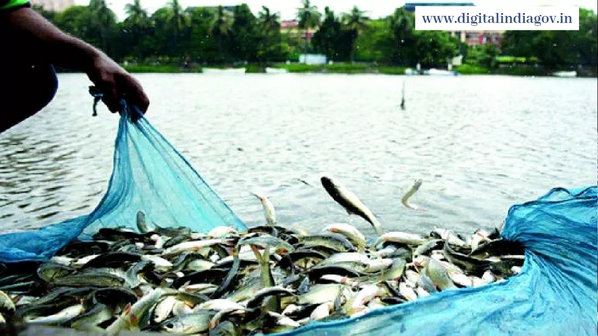 PM Matsya Sampada Yojana 2024: Online Application, Benefits