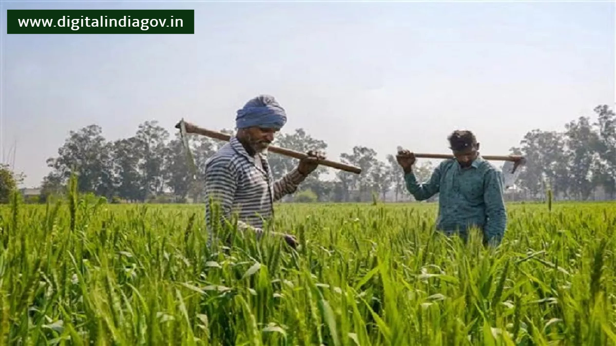 Jharkhand Fasal Rahat Yojana 2024: Objective, Benefits, Features