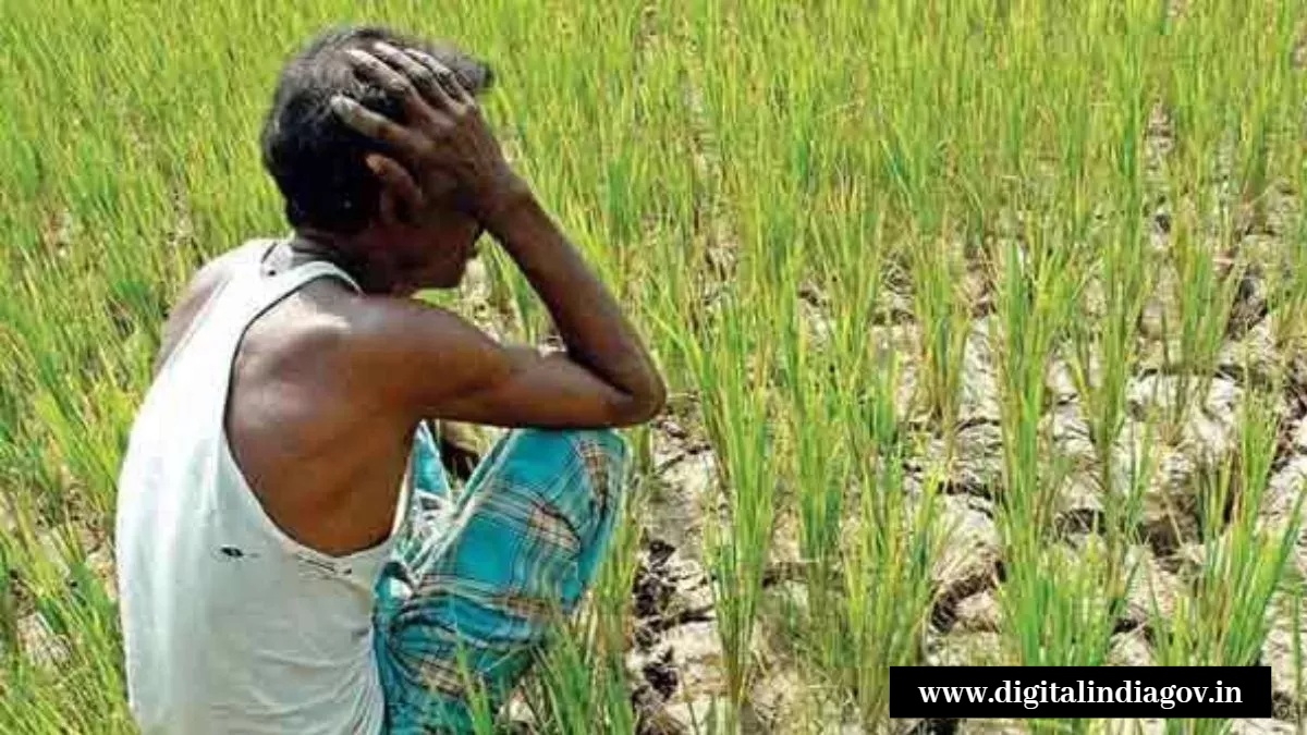 Mukhyamantri Sukhad Yojana 2024: Objective, Benefits, Features