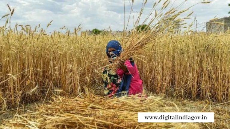 Fasal Bima Yojana 2024: Elgibility Criteria, Onlinr Application, FAQs