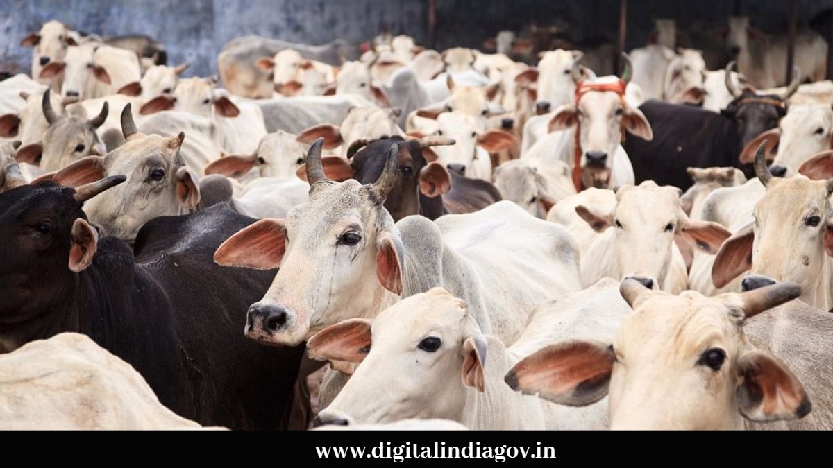 Punyakoti Dattu Yojana 2024: Features, Eligibility, Cow Adoption