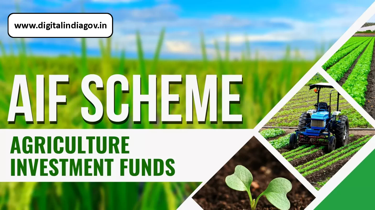 AIF Scheme, Complete Guide to Eligibility, Benefits & Use Process