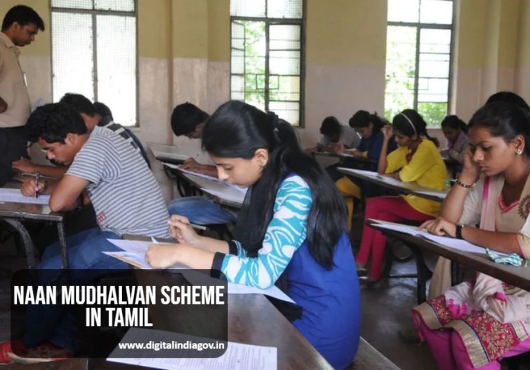 Naan Mudhalvan Scheme in Tamil, Skill Development for Youth