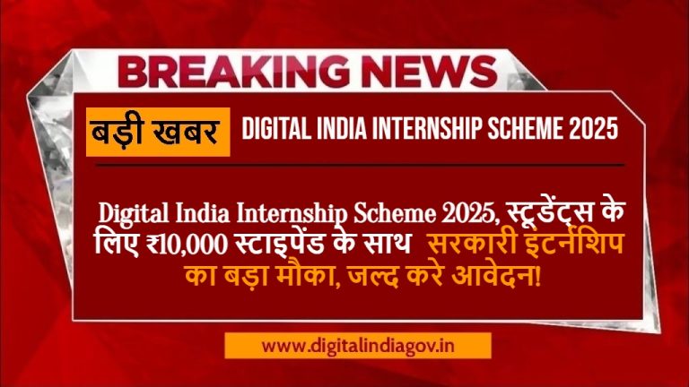 Digital India Internship Scheme 2025, Step-by-Step Use of Guide