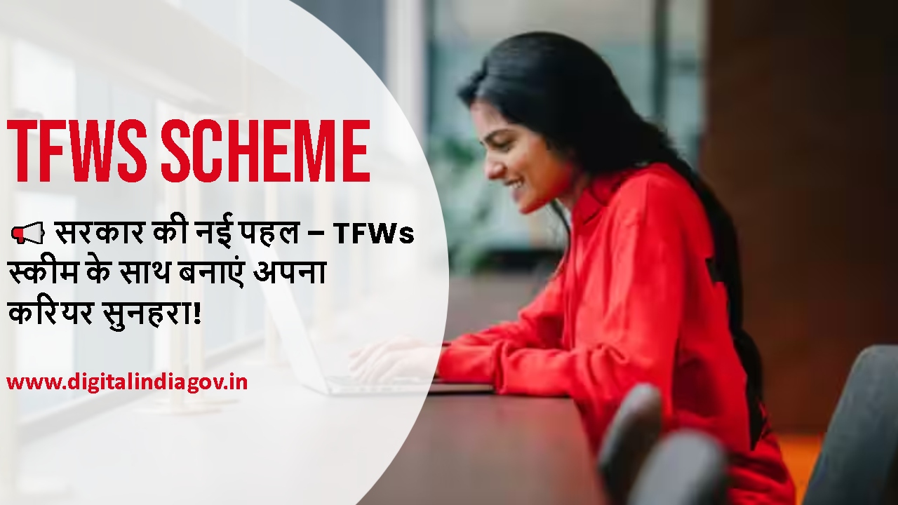 TFWs Scheme, A Step-by-Step Guide to Getting Started