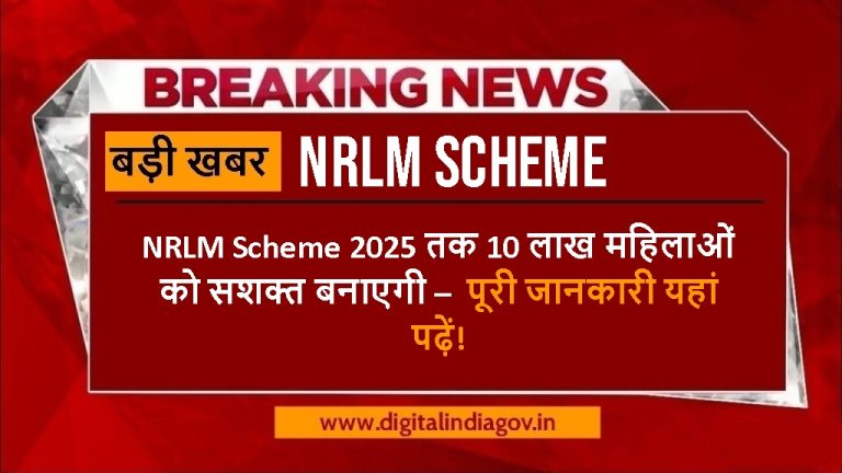 NRLM Scheme in India Goal, Strategy, & Impact on Rural Economy